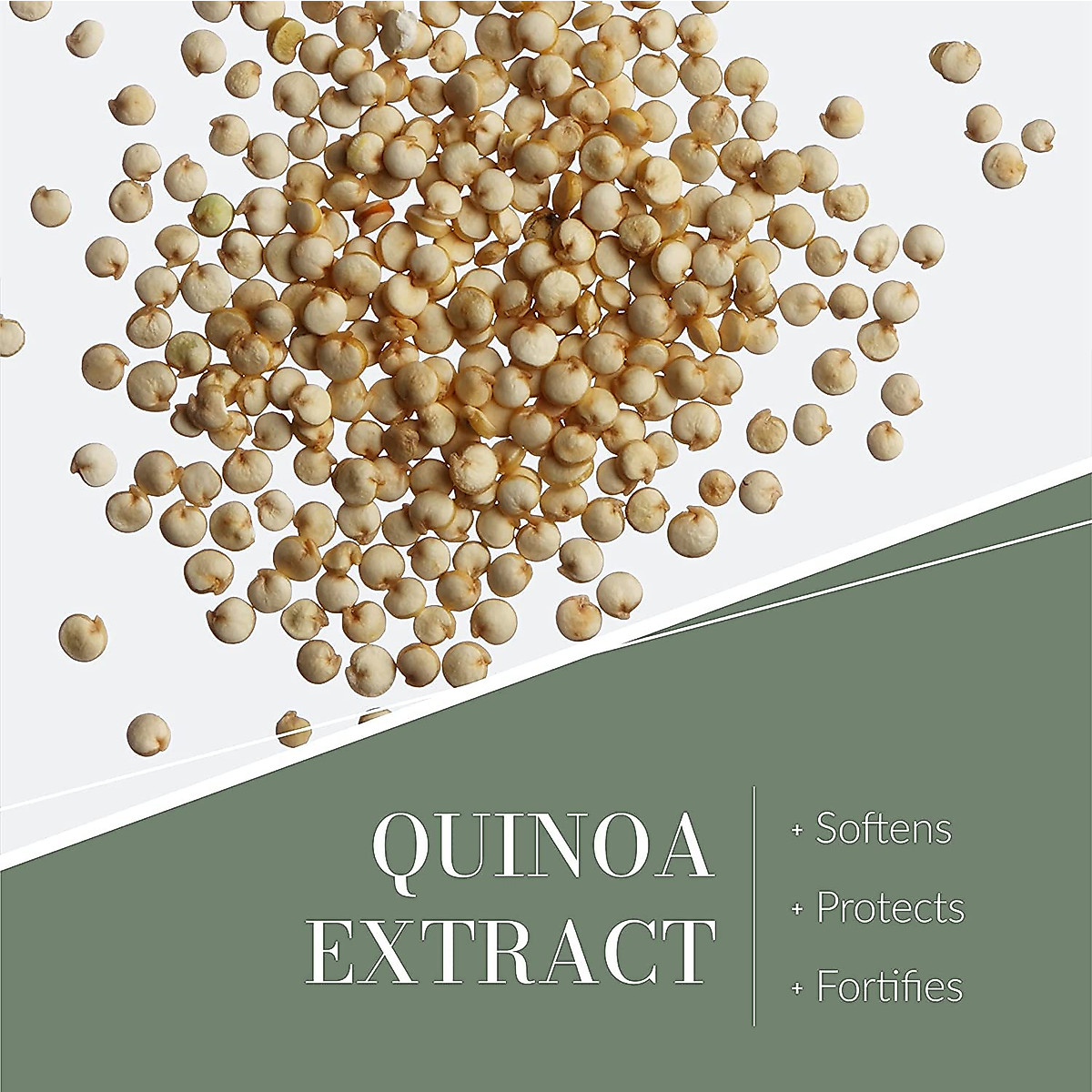 Leonor Greyl Paris - Shampooing Reviviscence - Specific Shampoo for Dehydrated, Damaged and Brittle Hair - Moisturizing and Hydrating Shampoo (6.7 Oz)