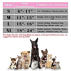 Katoggy Inflatable Dog Collar, Soft E-Collars for Dogs After Surgery, Adjustable Blow up Donut Dog Cone Collar for Small/Medium/Large Dogs and Cats