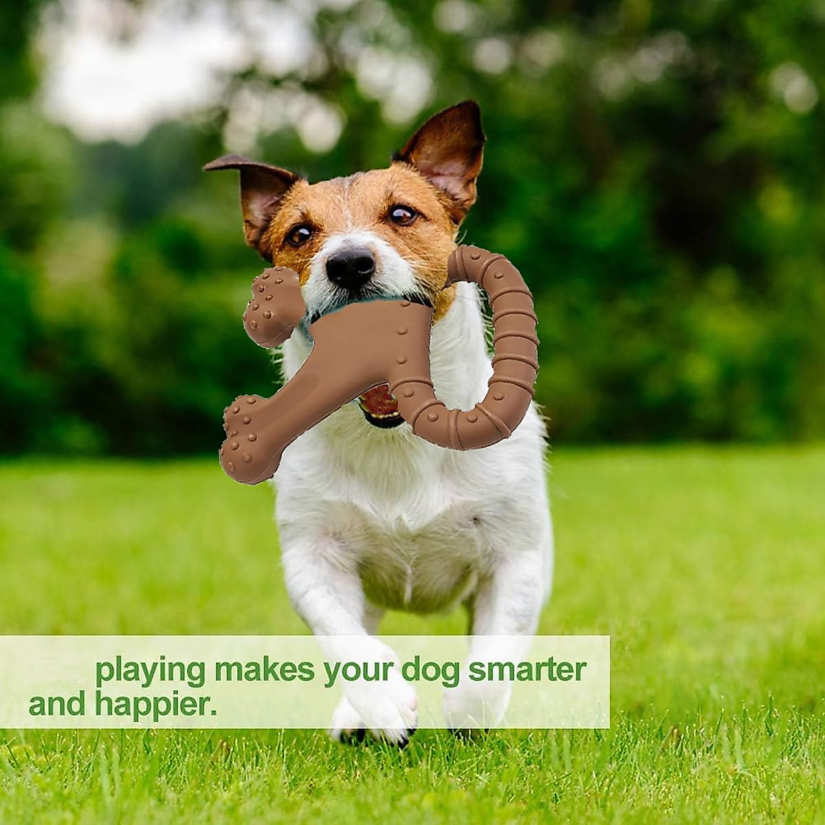 GGSTSL Dogs Toy Nylon Bone,Beef Flavor Dog Teething Chew Toys Bones,Indestructible Dog Chew Toys for Aggressive Chewers, Durable Dog Teething Chew pet Toys for Large,Middle,Small Dogs