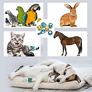 xiweeui Self Adhesive Bandage Wrap, 6 Pcs Vet Wrap Cohesive Bandages for Dogs Horses Pet Animals for Wrist Healing Ankle Sprain and Swelling