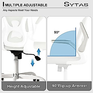 Sytas Home Office Chair Ergonomic, Mesh Desk Chair Lumbar Support, Ergonomic Computer Chair Adjustable Armrest (Gray)