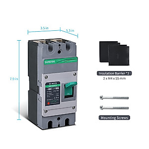 Renogy Suntree 160 Amp 2-Pole DC Circuit Breaker for Off-Grid Solar System, Molded Case