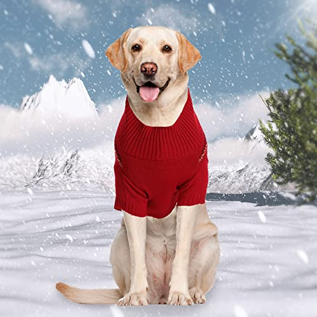 HRTTSY Christmas Dog Sweater Funny Ugly Xmas Cute Reindeer Puppy Turtleneck Sweaters Holiday Costume Fall Winter Warm Pullover Outfits Pet Clothes for Small Medium Large Dogs Cats(Red Reindeer,M)