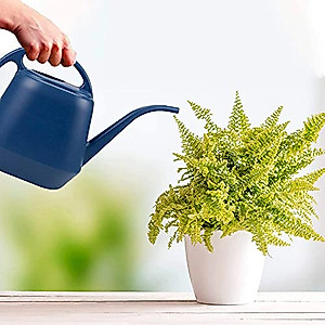Fasmov Plastic Watering Can, 1-Gallon, Blue