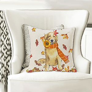 SPXUBZ Fall Throw Pillow Cover 18x18 Inch Autumn Dog Golden Retriever Home Decor Thanksgiving Farmhouse Nice Gift Square Indoor Linen Pillowcase Cushion(Two Sides Print)