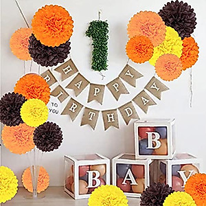 20pcs Decorative Tissue Paper Pom Poms of 14in, 12in, 10in, 8in, 6in for Autumn Party Halloween Birthday Wedding Fiesta Birthday Indoor and Outdoor Decoration (Oranges, Yellow, Brown)