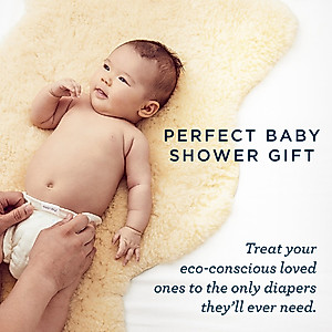 Esembly Cloth Diaper Try-It Kit, Starter Gift Set, Includes 3 Organic, Reusable Diapers Inners, 1 Stylish Outer, Patented Detergent & Wet Bag - Earth-Friendly Diapering, Mist, Size 1 (7-18lbs)