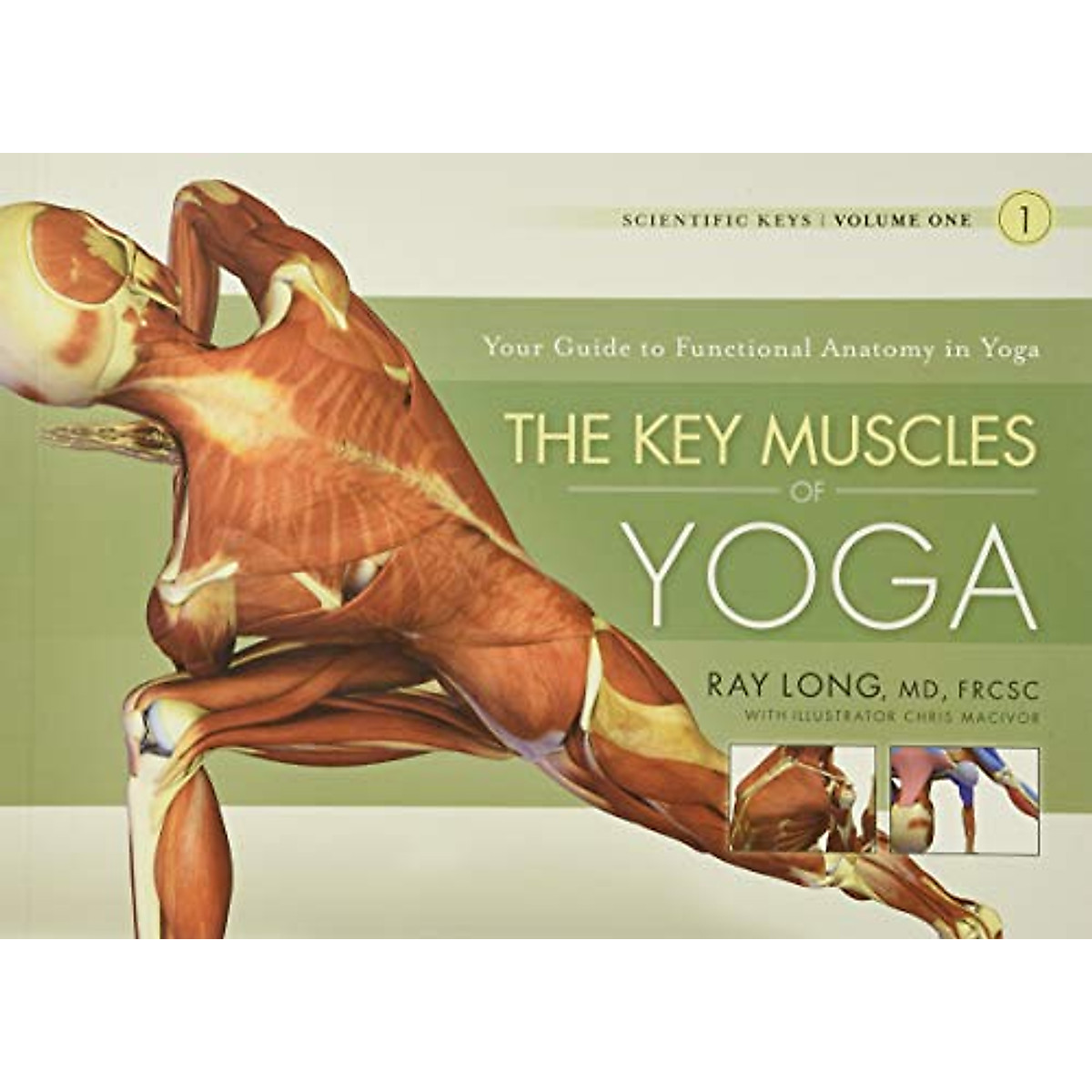 The Key Muscles of Yoga: Scientific Keys, Volume I