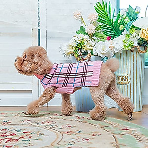 DILLYBUD Small Dog Sweaters, Dog Clothes Turtleneck Plaid Knitwear Pet Sweater Pullover for Puppy Doggie Cat Girls or Boys, Dog Apparel Coat for Fall Winter Cold Weather Indoor or Outdoor Size S,XS,M