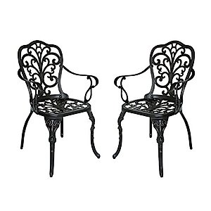 Christopher Knight Home Buddy Outdoor Cast Aluminum Dining Chair (Set of 2), Shiny Copper