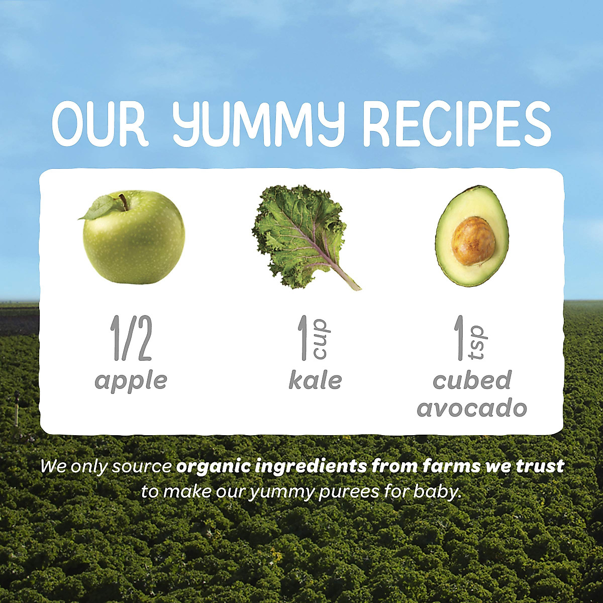 Happy Baby Organics Stage 2 Baby Food Pouches, Gluten Free, Vegan & Healthy Snack, Clearly Crafted Fruit & Veggie Puree, Apples, Kale & Avocados, 4 Ounces (Pack of 16)