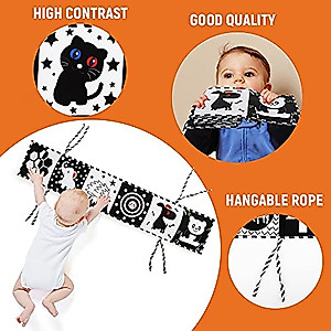 teytoy Black and White High Contrast Sensory Baby Toys Baby Soft Book for Early Education, Infant Tummy Time Toys, Three-Dimensional Can Be Bitten and Tear Not Rotten Paper Newborn Toys (Ladybug)