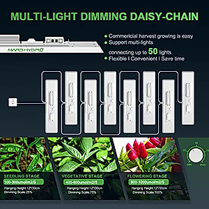 MARS HYDRO 2024 New TSL2000 300 Watt Led Grow Lights for Indoor Plants, Sunlike Full Spectrum Dimmable Daisy Chain Growing Lamps for Hydroponics Seedling Veg Bloom in 4x2/5x3 Grow Tent Greenhouses
