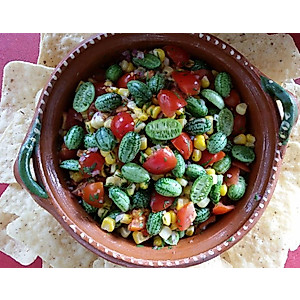 70pcs Cucamelon Seeds - Mexican Sour Gherkin Mini Thumb Watermelon Vegetable - Easy Planting Tips for Home Gardeners