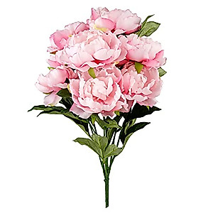 Ashland Michaels Pink Peony Bush