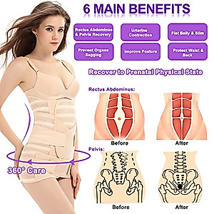 Postpartum Waist Trainer for Women - 3 in 1 Postpartum Belly Support Recovery Wrap, Adjustable Postpartum Belly Band, Breathable Postpartum Belly Wrap C-section Recovery for Body Shaper Back Support L