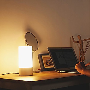 LED Table Lamp, 3-Levels Dimmable Touch Lamp, 16 Millions RGB Color Changing Desk Lamp for Home / Office(Grey)