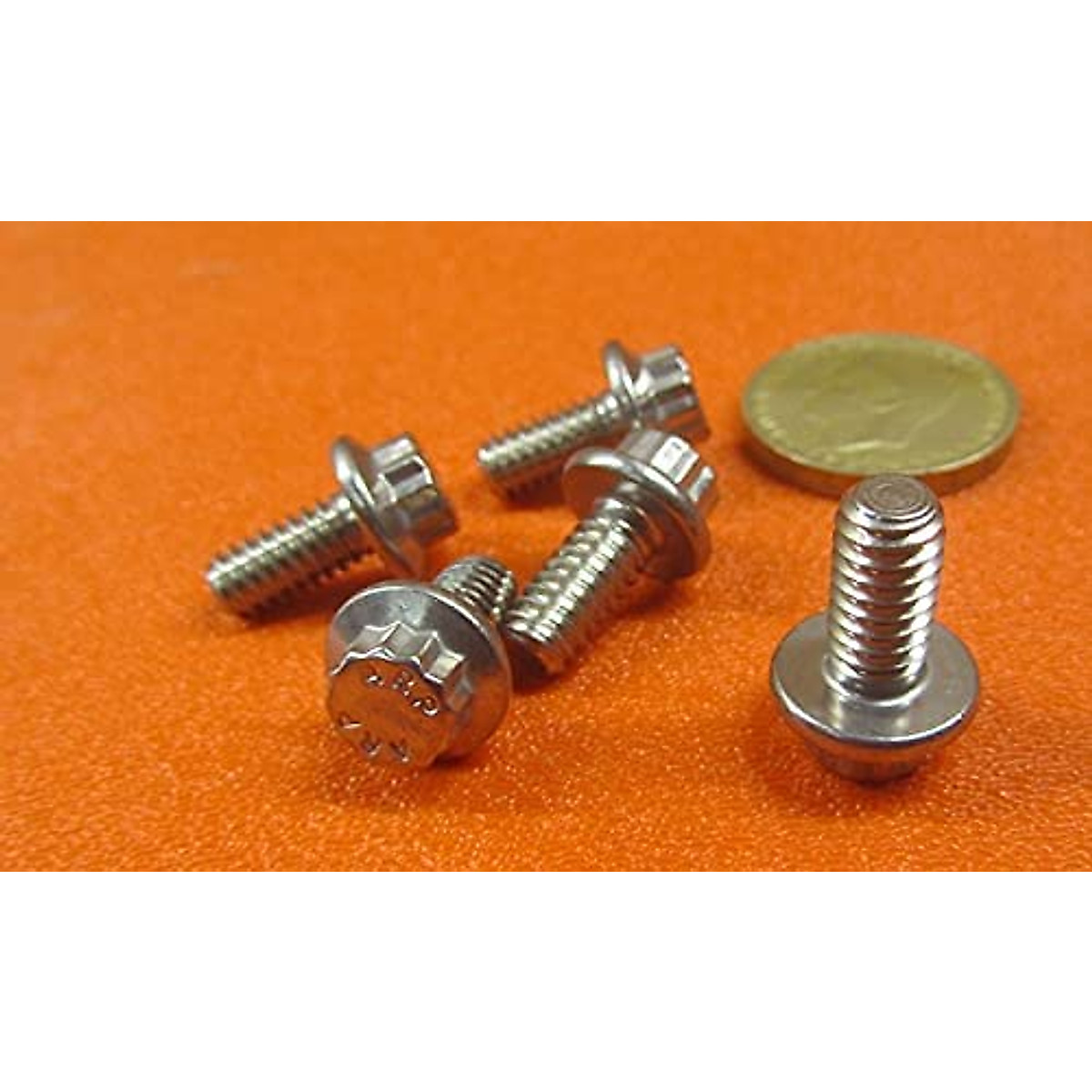 18-8 Stainless Steel 12 Point FT Bolts 1/4"-20 Thread x .500 Length 5 pcs