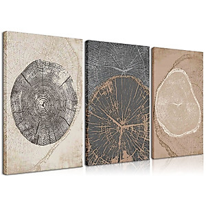 AKWISH 3Pcs Framed Tree Ring Canvas Wall Art Print Pastel Gray Wood Spirals Picture Nature Abstract Drawings Poster Modern Minimalist Wall Decor for Living Room Bedroom Home Office 16"x24"x3