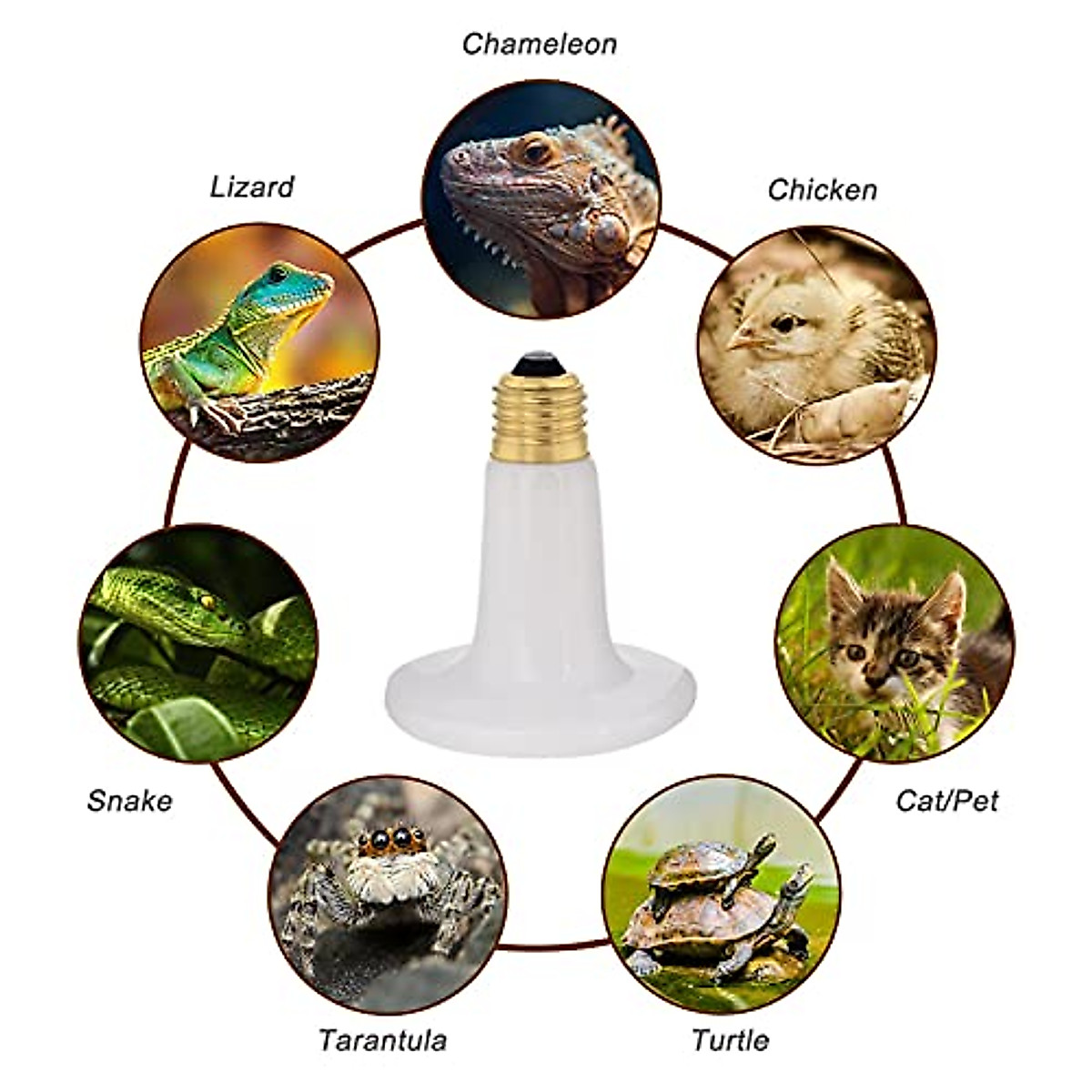 WUHOSTAM 2 Pack 100W White Ceramic Heat Lamp with 1-pcs Digital-Thermometer,No Light Infrared Reptile Heater Emitter Lamp Bulb for Pet Brooder Coop Chicken Lizard Turtle Snake Aquarium ETL Listed