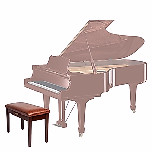 Bonnlo Brown Duet Piano Bench with Storage Compartment and Thick Cushion Hinged top Artist Duet Seat