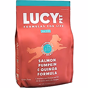 Lucy Pet Formulas for Life Salmon, Pumpkin, & Quinoa Dry Dog Food, All Breeds & Life Stages, Digestive Health, Sensitive Stomach & Skin - 4.5 lb