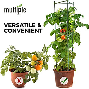 Stake Arms for Tomato Cage, 36 Pcs 11.8 Inches Garden Stake Connectors, Plastic Expandable Trellis for 11mm Diameter Plant Stakes, 2 Adjustable Buckle for Growing Climbing Plants