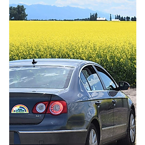 CHUBBYCHEEKS Baby on Board Magnet Sign for Car, Water Resistant, Weather Resistant with UV Protected Film (Rainbow)