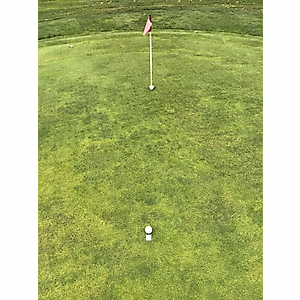 Sticker for Golf Putter and Ball Marker (Triple Track) (Red and Blue, 1Pack)