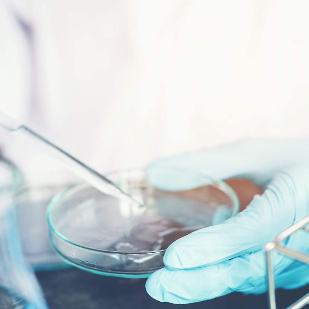 Petri Dishes Agar Plates, Plastic Petri Dish with Lid 70mm Petri Plates for Lab Experiment Biology Microbiology Studies School Teaching, 20pcs