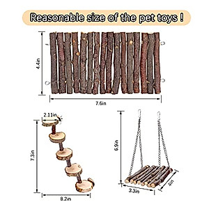 DAMPET Hamster Chew Toys, Hamster Activity Toys, Gerbil Rat Guinea Pig Chinchilla Chew Toys, Toys Accessories for Teeth Care,Natural Apple Wood Toys for Hamster, Rabbits, Bunny, Gerbil (Style 4)