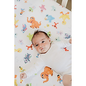 Premium Knit Baby Crib Sheets for Boys and Girls by Copper Pearl: Breathable and Soft, Fitted Crib Sheets for Standard Baby Mattresses, Crib Sheet for Baby Registry or Shower Gift, Sesame Friends