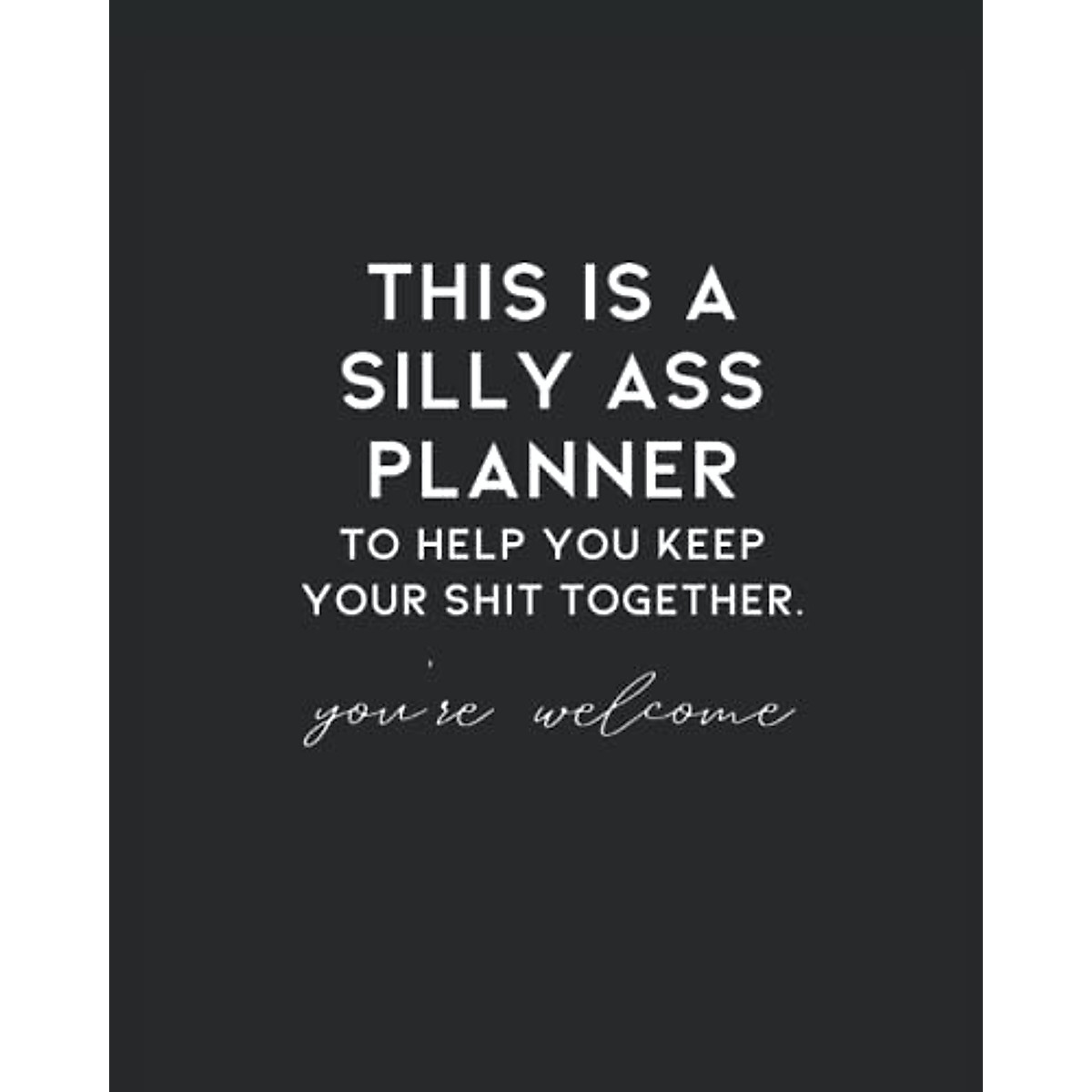 This Is A Silly Ass Planner: Funny Swear Word Monthly Planner For Adults, Undated | Sarcastic Coworker + Employee Appreciation Christmas Gift Idea | ... For Men And Women - Humorous Agenda Notebook