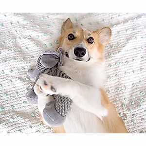 Lily Anne Boutique Woven Cute Dog Toys - Monkey Dog Toy, Elephant Dog Toy, or Sheep Dog Toy - Single or 2 Pack Squeaker Dog Toy - Soft Plush Toys for Light Biters - Dog Chew Toys (Elephant, 2-Pack)