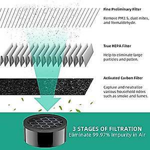 True HEPA Replacement Filter Compatible with Acekool D01 Air Purifier, H13 Grade 3-in-1 Pre-Filter, True HEPA Filter, High-Efficient Activated Carbon Filter, White (D01LX)