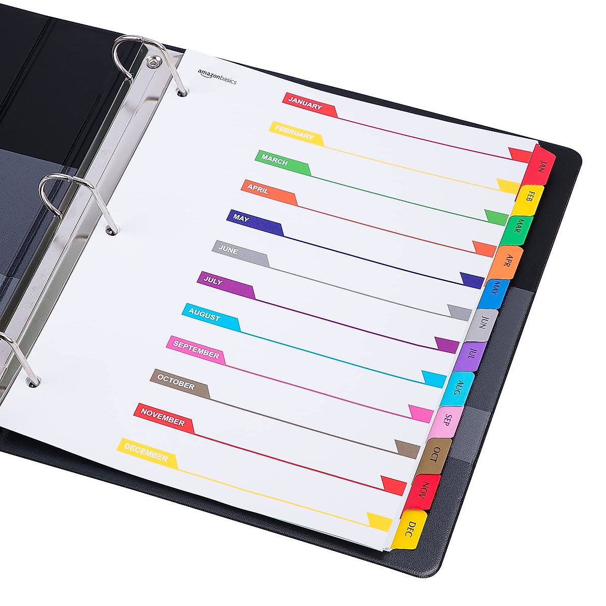 Amazon Basics 12 Tab Monthly Dividers for 3 Ring Binder, Customizable Table of Contents Page, Multicolor, 10-Pack