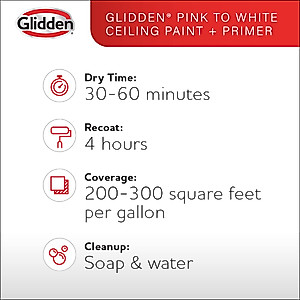 Glidden Grab-N-Go Pink to White Ceiling paint, 1 Gallon, Flat, White