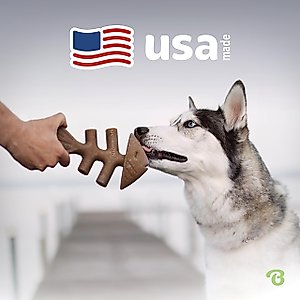 Benebone Fishbone Durable Dog Chew Toy for Aggressive Chewers, Real Fish, Made in USA, Large
