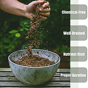 Doter Organic Potting Soil Mix for All Indoor & Outdoor Small Containers Including Herbs, Vegetables, and Flowers 1 qt