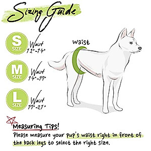 WICKEDPUP Dog Diaper Booster Pads (Regular, 100ct), Plus Stater Set (1 x Male Wrap Medium Size, 1 x Cloth Pouch, 5 x Booster Pads) Value Bundle Package
