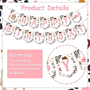 Cowgirl Happy Birthday Banner, Pink First Rodeo Party Decorations, Western Cowgirl Birthday Banner, Cowgirl Themed Party Supplies