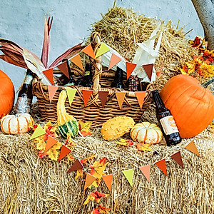 164 ft Fall Pennant Banners Orange Banner Decorations Pennant Flag Garland Bunting for Happy Fall Decor Thanksgiving Day Harvest Autumn Wedding Birthday Party Outdoor Garden Hanging Decoration