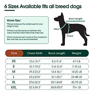 Kuoser Dog Surgery Recovery Suit, Recovery Suit for Female Male Dogs, Dog Onesie After Surgery Spay Neuter, Anti-Licking Pet Surgical Recovery Snugly Suit, Bodysuit for Abdominal Wounds Skin Disease