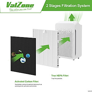 VALZONE Winix C545 2 Pack H13 True HEPA Replacement Filter S Compatible with Winix C545 Part# 1712-0096-00 with 8 Extra Activated Carbon Pre-Filters 13.07 x 10.94 x 0.98 inches