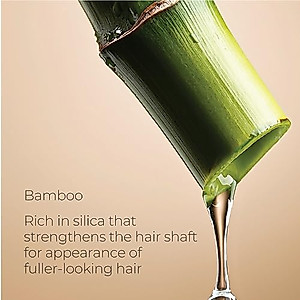 L'ANZA Healing Volume Zero Weight Gel, Extra Hold Hair Gel Dramatically Boosts Shine, Volume, and Thickness of Fine Flat Hair, And Styling Gel For Edge Control, Braiding & Hair Styling (6.8 Fl Oz)