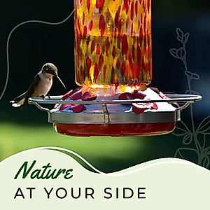 Grateful Gnome Hummingbird Feeder for Outdoors Hanging Hand Blown Glass Fiery Bell Tower 20 Fluid Ounces Free Bonus Accessories S-Hook, Ant Moat, Brush and Hemp Rope Included