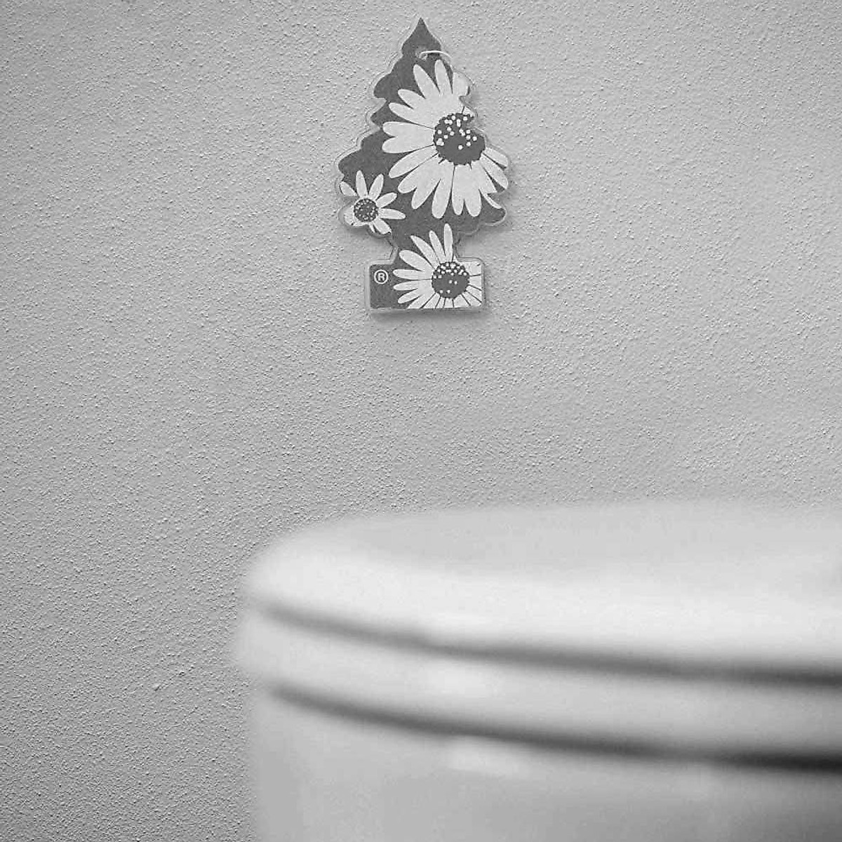 Little-Trees Black Ice Little Tree Air Freshener- 24 Pack