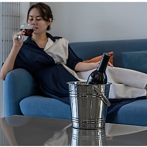 Ice Bucket Insulated Stainless Steel Keep Ice Frozen Longer Ideal for Cocktail Bar, Parties, Chilling Wine, Champagne - 3 Liter (Stainless Steel)