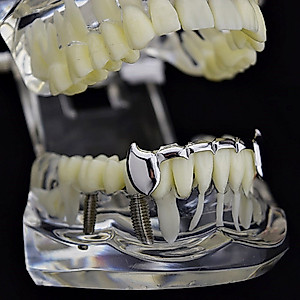 Vampire Half Grillz Fang Slim Silver Tone Bottom Lower Row Slugs Teeth Hip Hop Grills