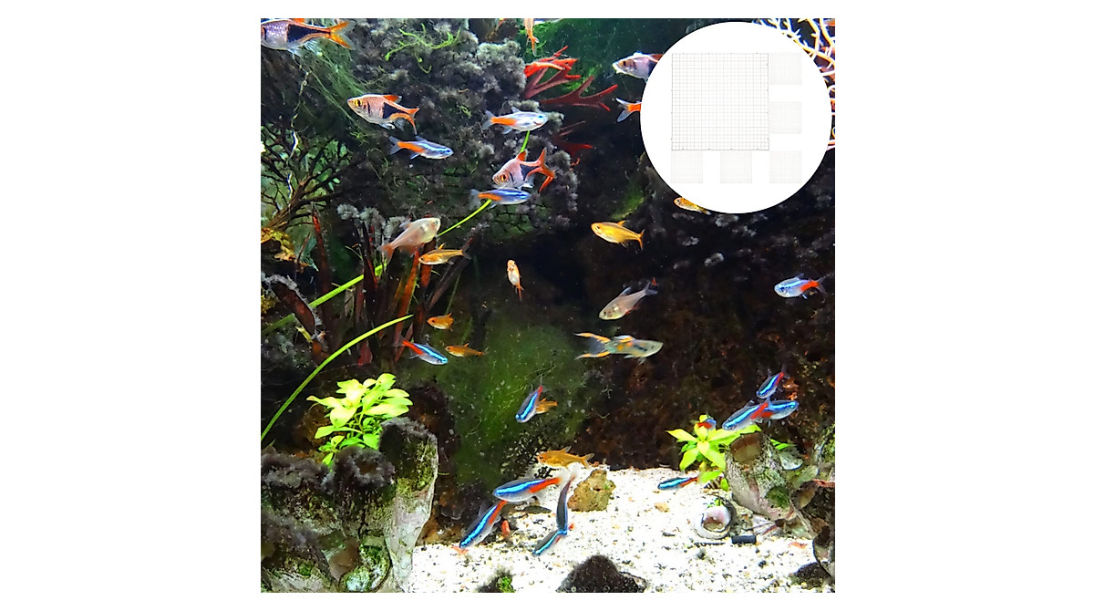 Kichvoe 6pcs Fish Tank Divider Grid for Aquarium Breeding